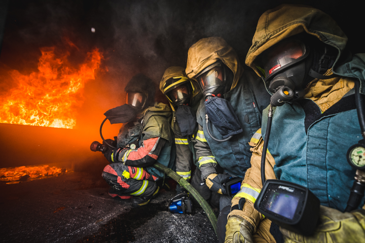 FIRE BEAST - Texport